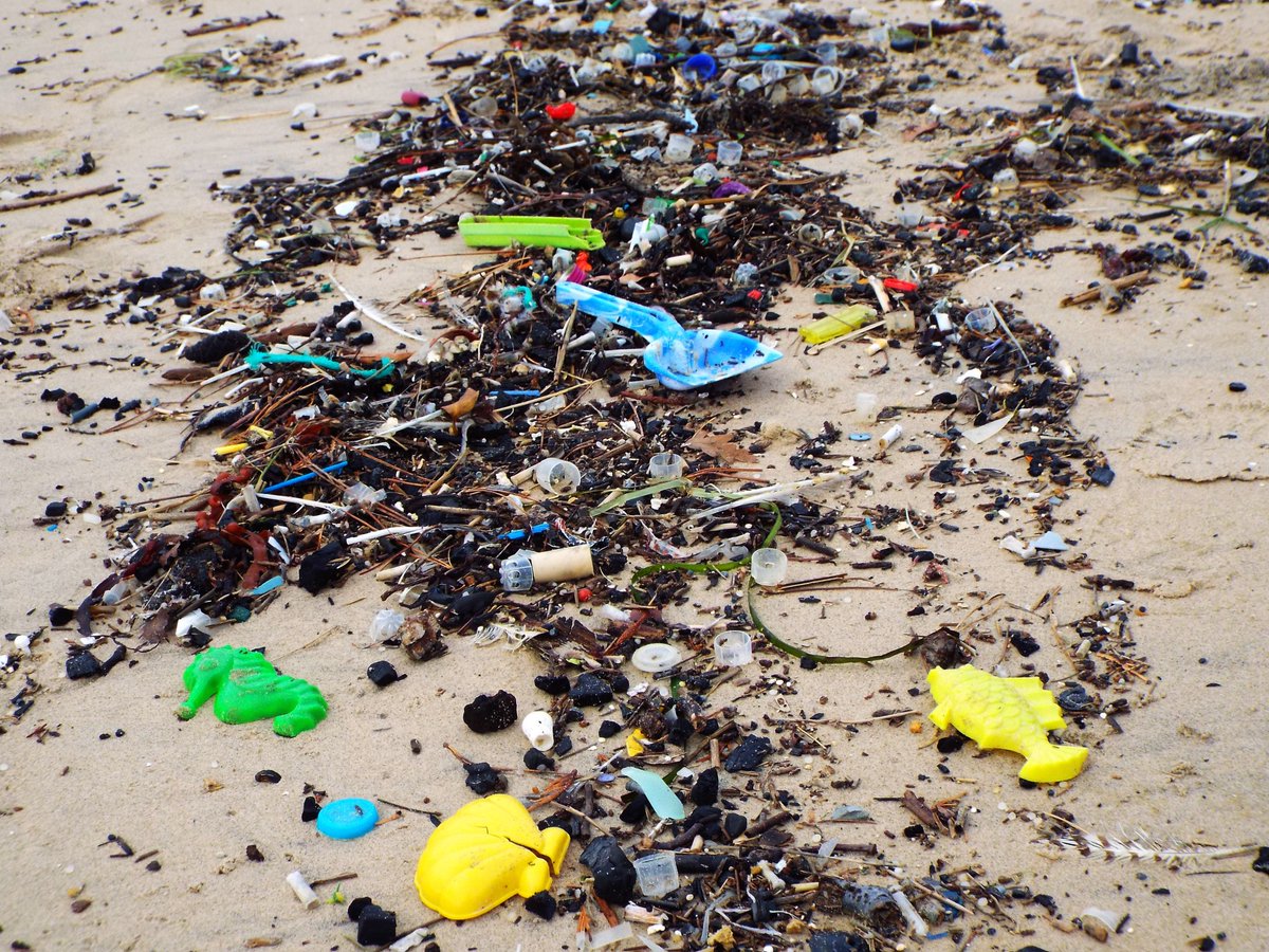 4 Effects Of Plastic - What It Does To Earth?