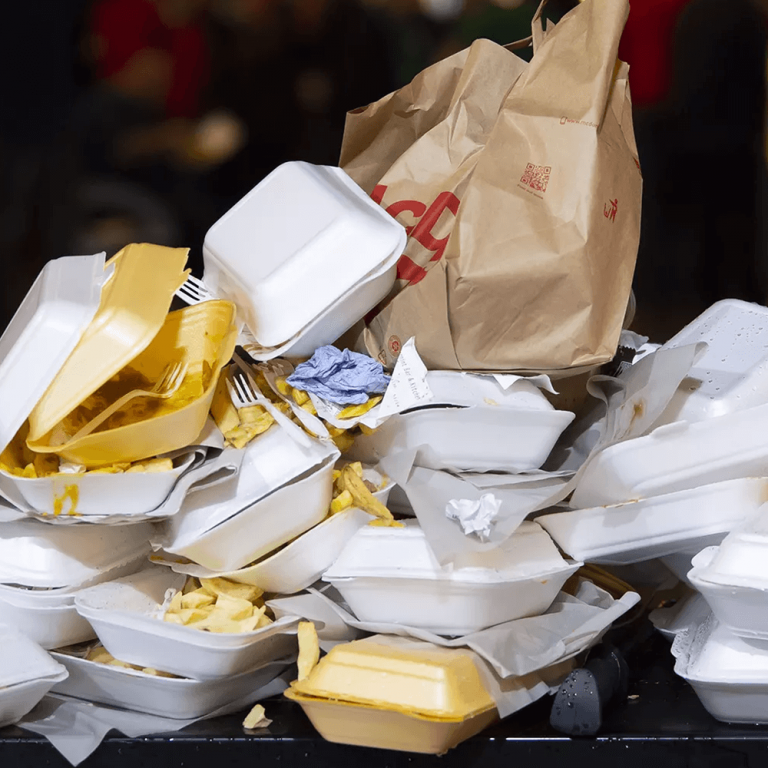 Zero Waste Lunch Boxes - Set 4 Portable Reusable Folding Boxes