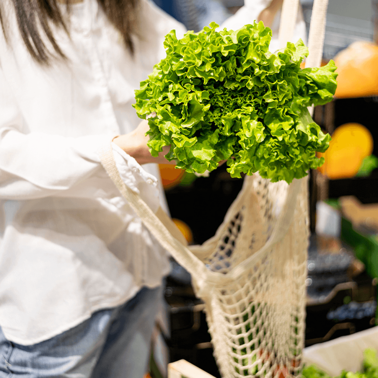 Zero Waste Shopping Bags 5 Packs Grocery Reusable Bags