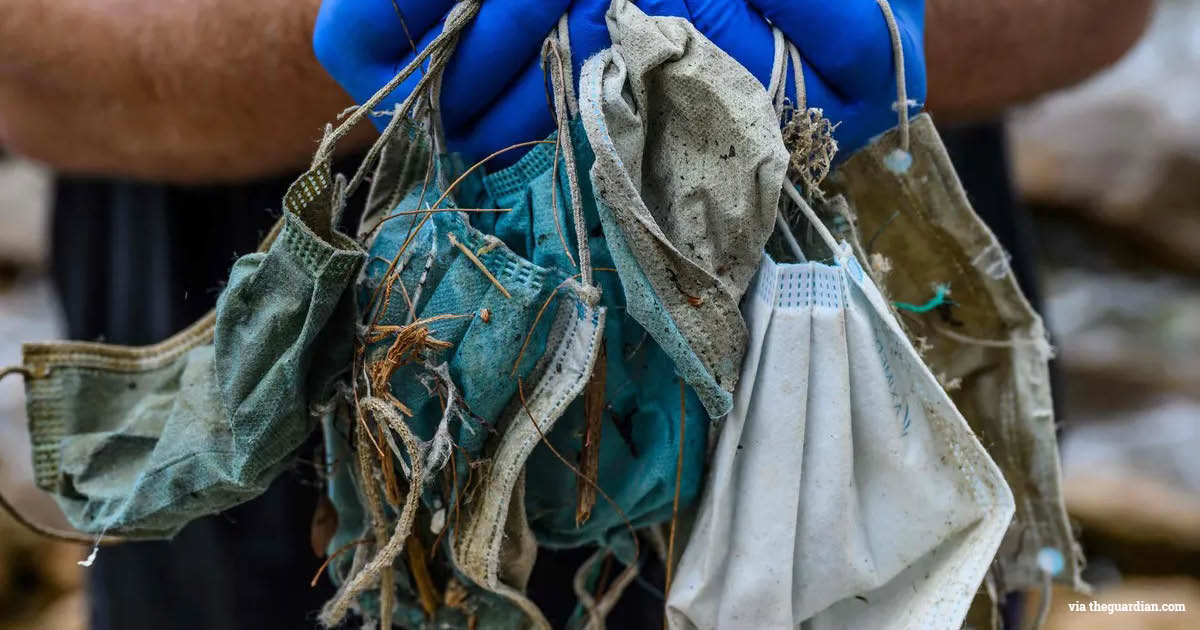 Disposable Face Mask - 5 Things You Should Know