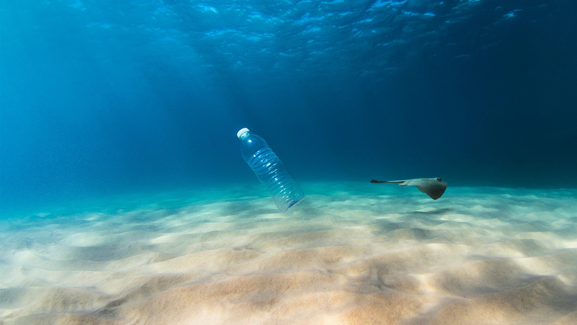 Plastic Water Bottles - Maybe You Missed These 3 Facts
